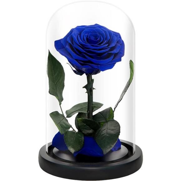 Accents | Handmade Preserved Roses In Glass Dome Long Lasting Royal ...